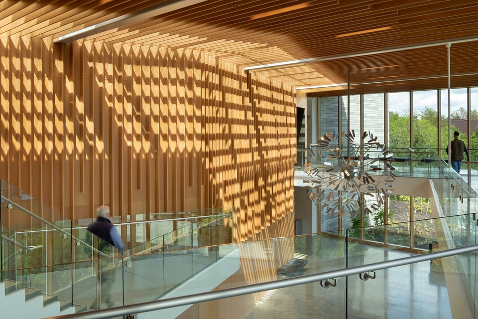 Back to Building Basics: Mass Timber Construction